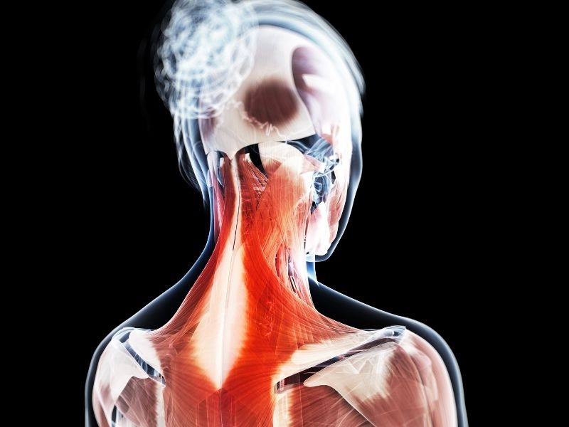 Boyun Diseksiyonu - Genel Cerrahi Uzmanı